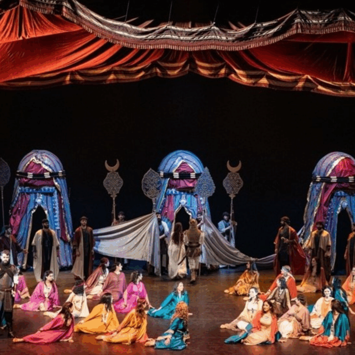 Opera Under the Stars