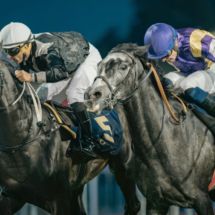When Arabian Legends, Heritage Magic, and National Pride Storm the Tracks!